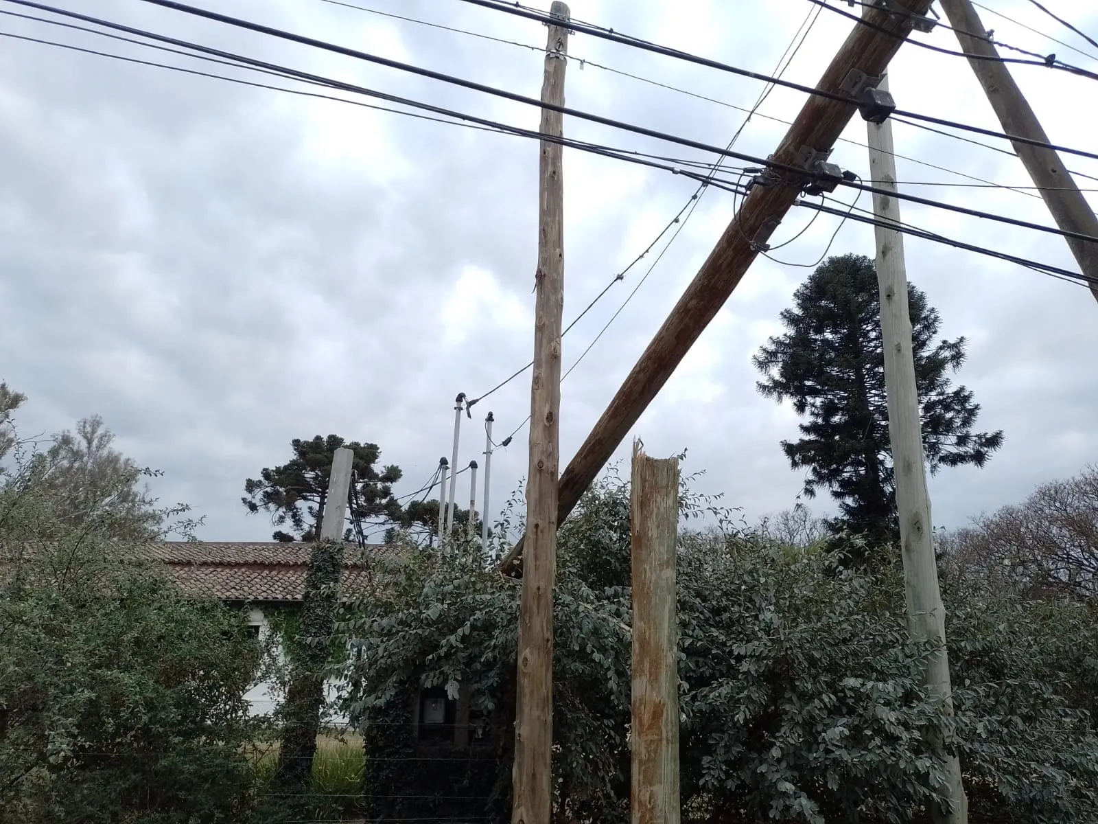 UN POSTE DE LUZ PARTIDO QUEDÓ DENTRO DE UN DOMICILIO